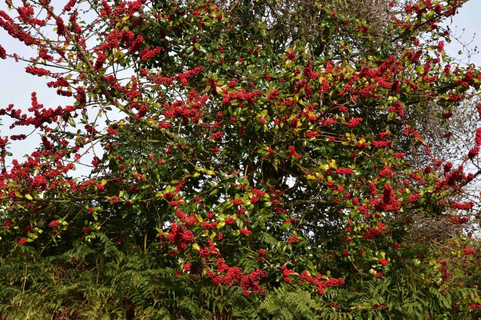 Yarpole Community website